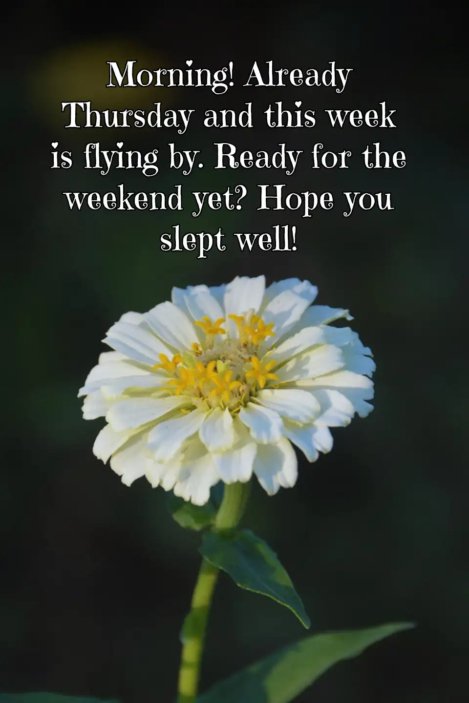44+ Inspiring Happy Thursday Messages For A Great Morning