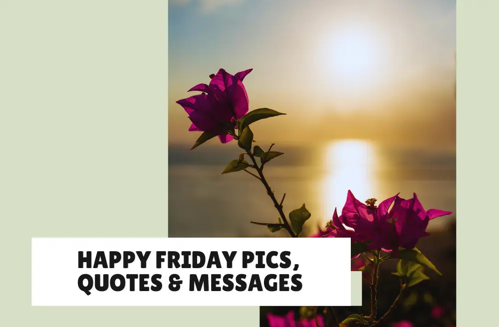 Happy Friday Pics, Quotes & Messages To Share With Anyone