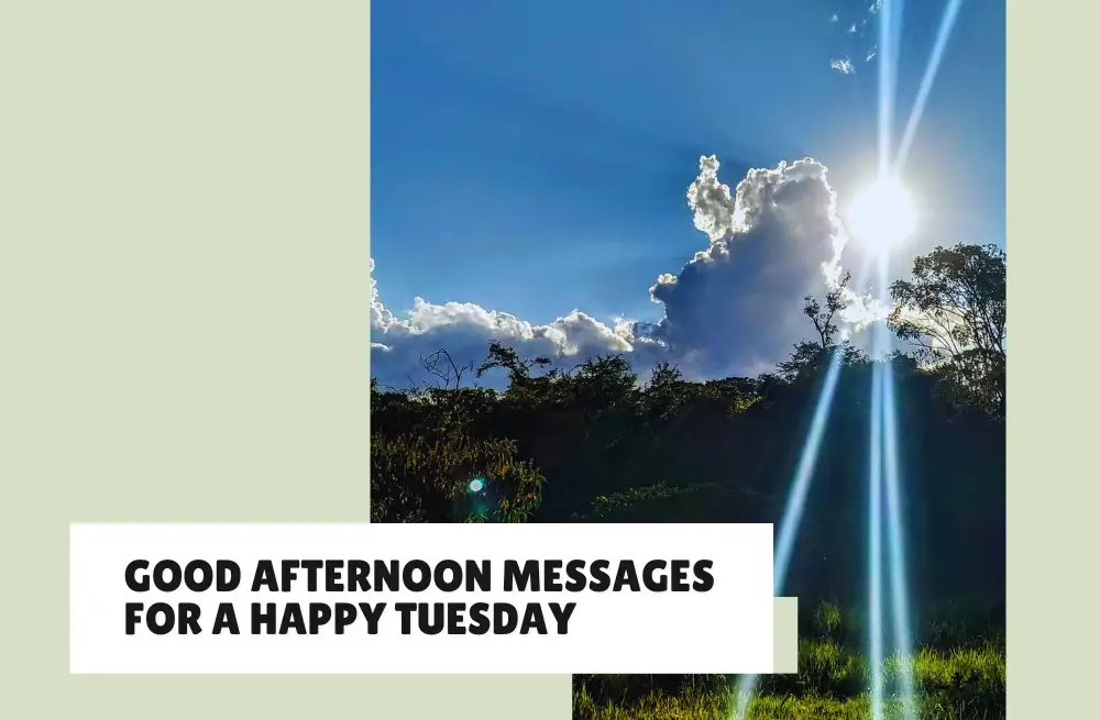 33+ Good Afternoon Messages For A Happy Tuesday
