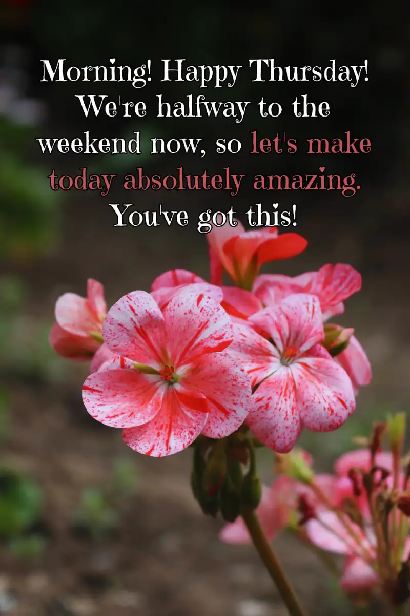 44+ Inspiring Happy Thursday Messages For A Great Morning