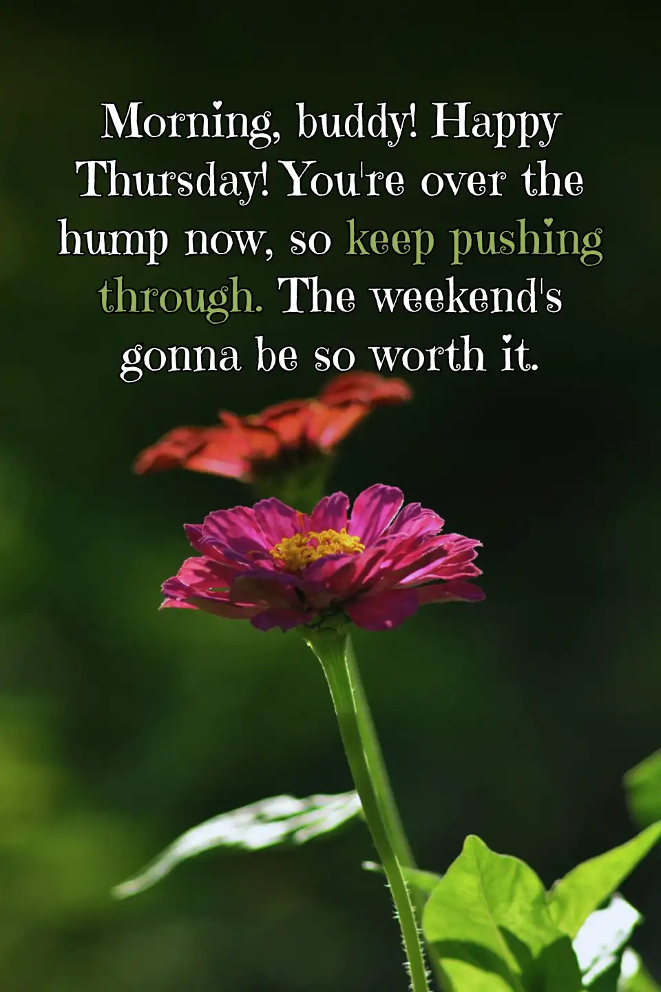 44+ Inspiring Happy Thursday Messages For A Great Morning