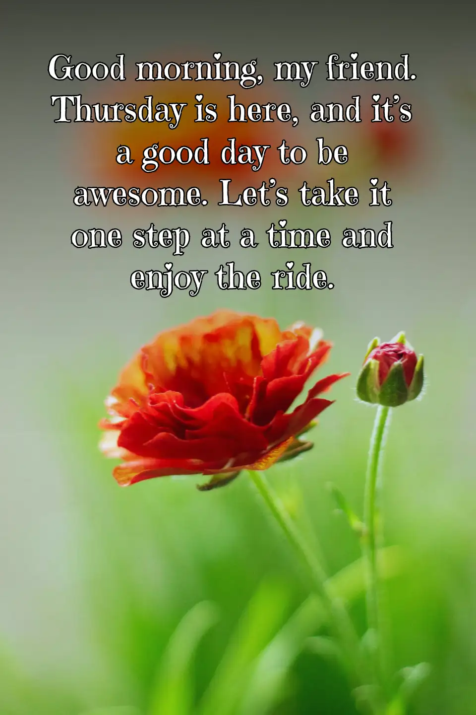 44+ Inspiring Happy Thursday Messages For A Great Morning