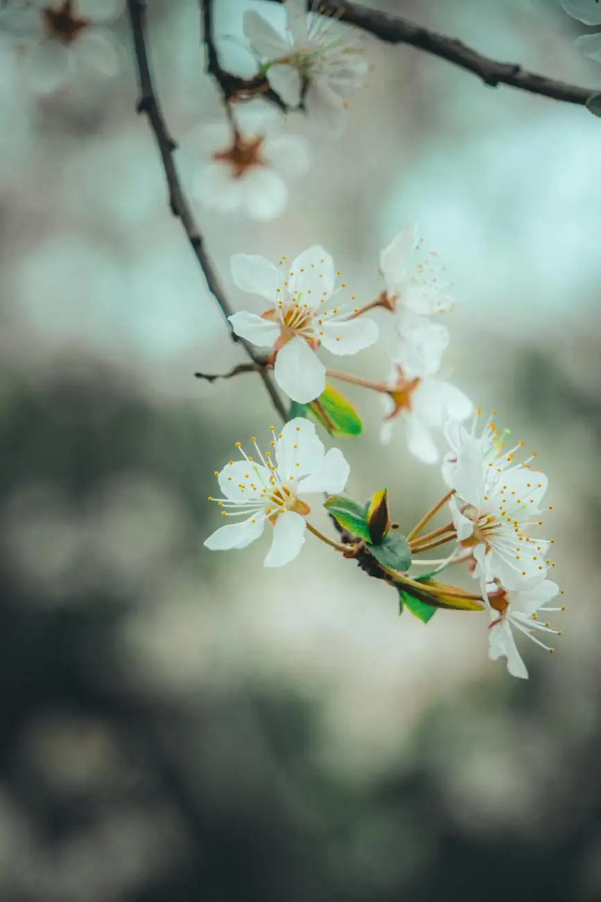 The Perfect Way To Say “Have A Great Week!” (32 Messages)