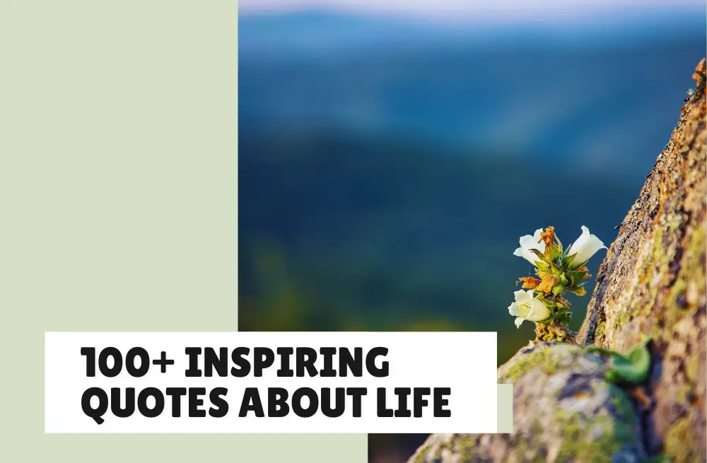 100+ Inspiring Quotes About Life You Need To Read