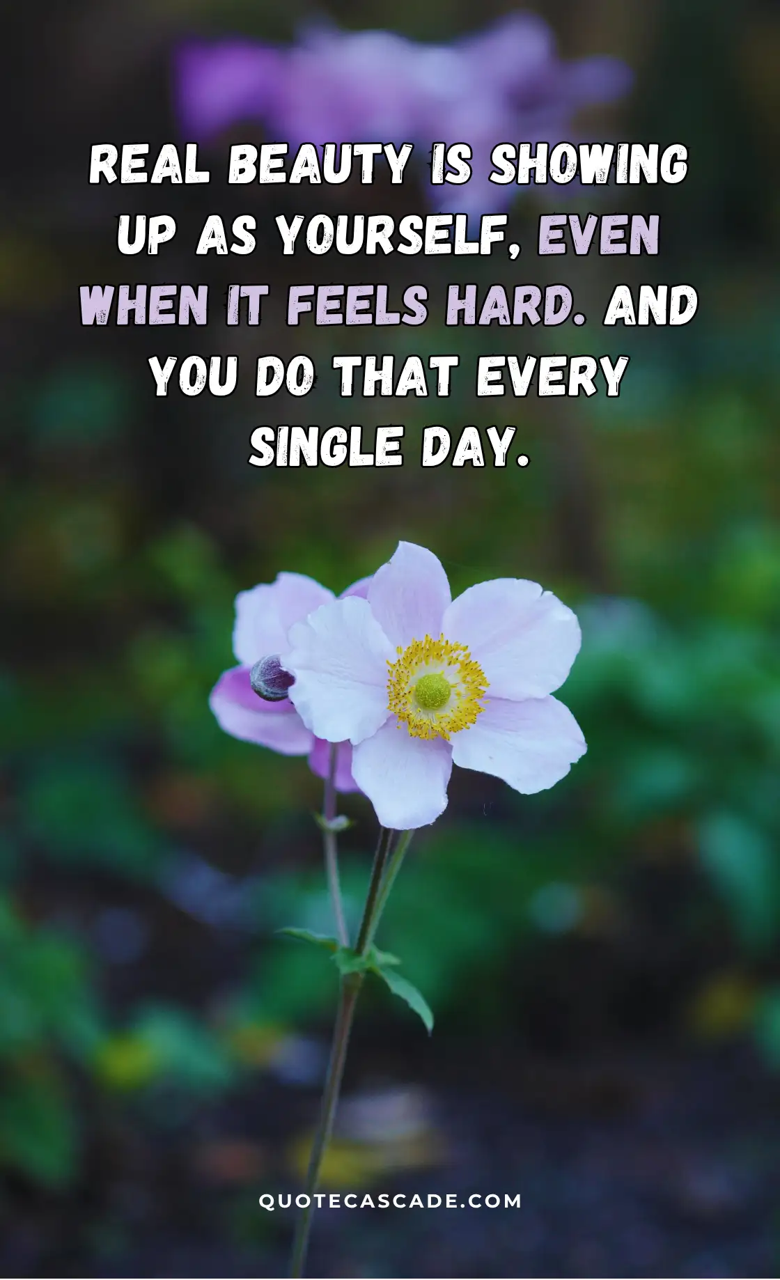 70 Sweet Beauty Quotes To Share With Her (They Are Lovely)