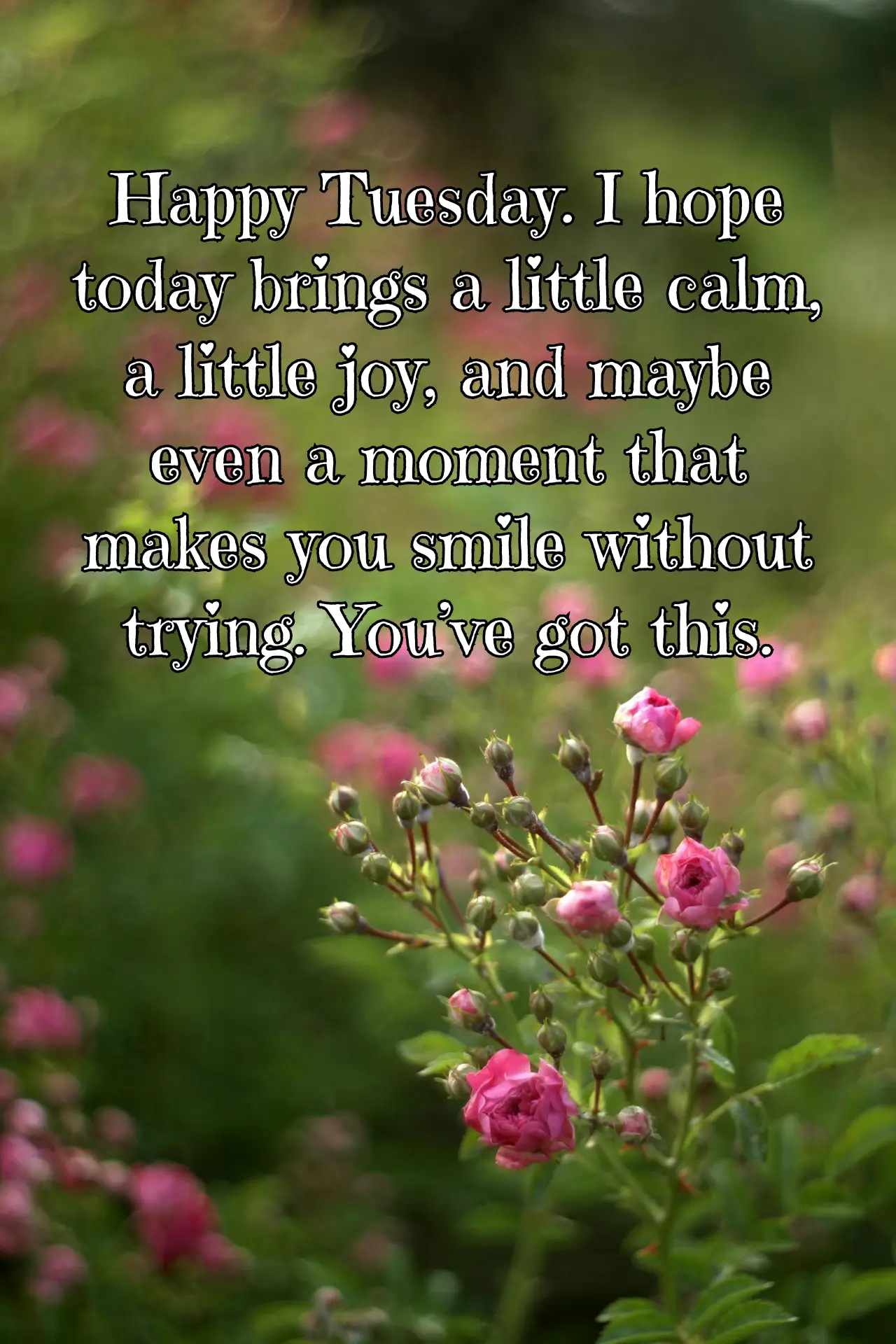 64 Good Morning Messages For A Happy Tuesday (With Images)