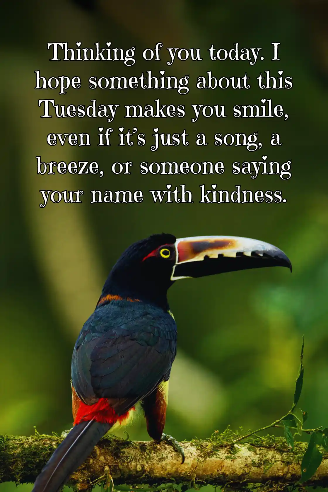 64 Good Morning Messages For A Happy Tuesday (With Images)