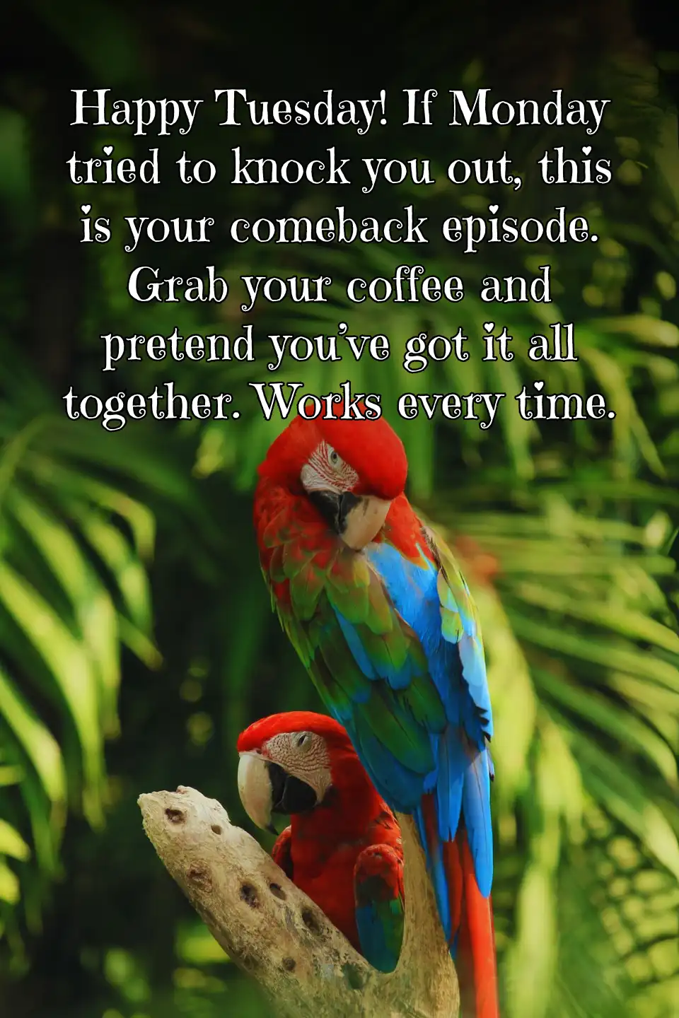 64 Good Morning Messages For A Happy Tuesday (With Images)