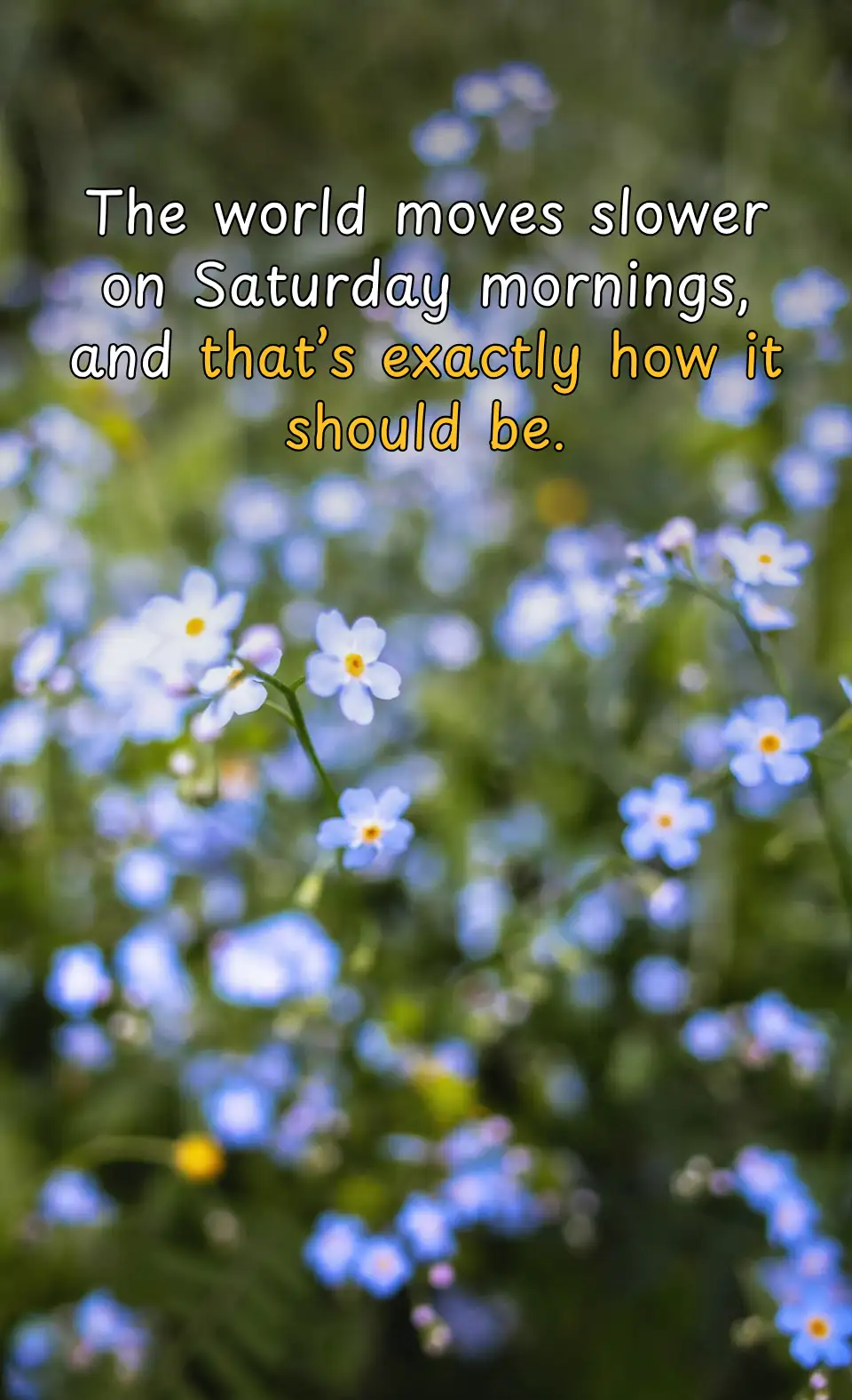 30+ Saturday Morning Quotes For Cozy Starts