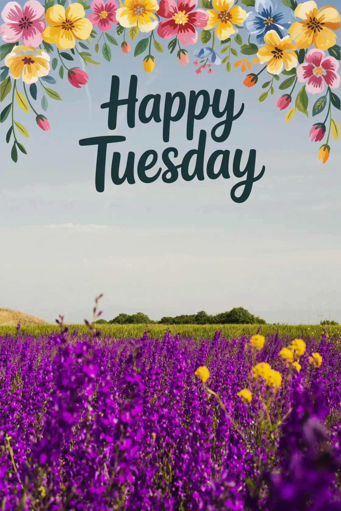 64 Good Morning Messages For A Happy Tuesday (With Images)
