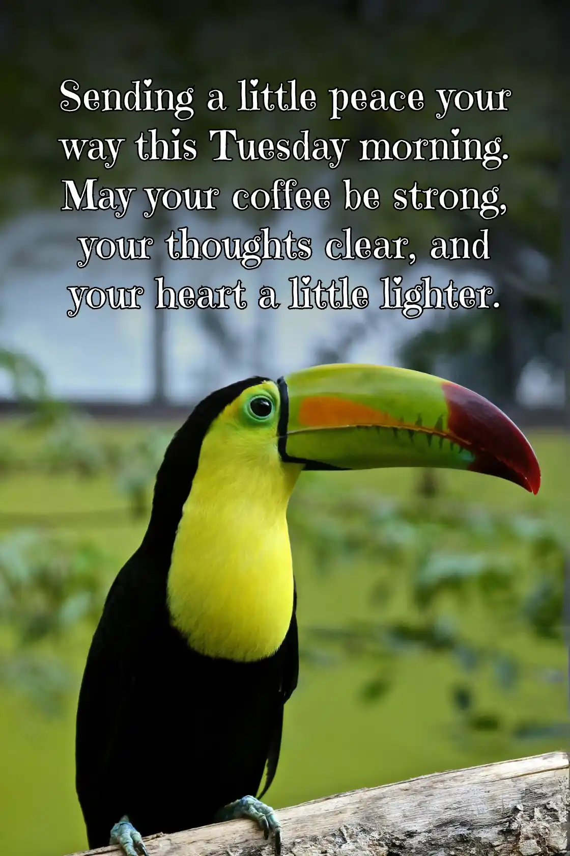 64 Good Morning Messages For A Happy Tuesday (With Images)